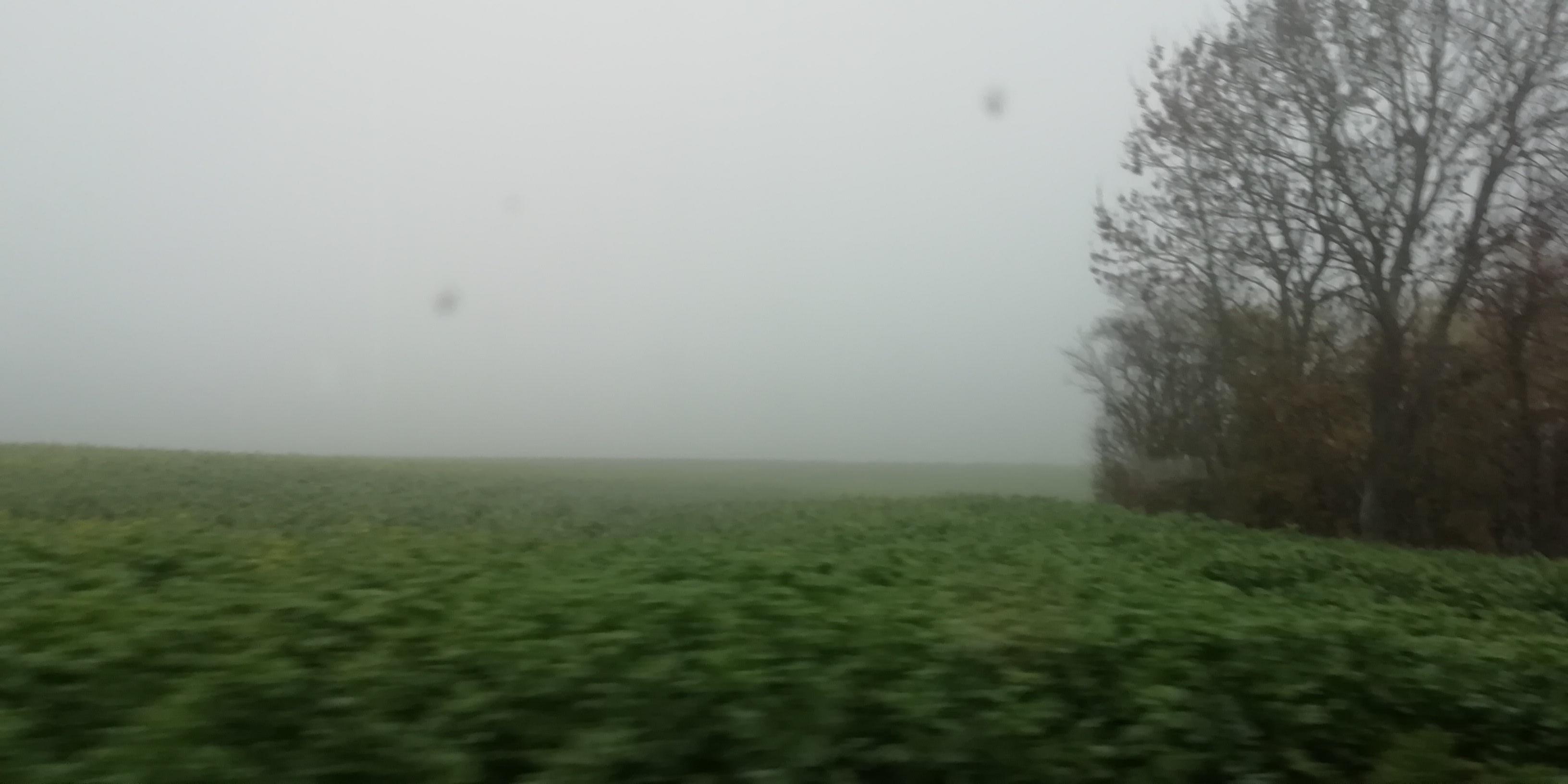 Who turned down the render distance? | Scrolller