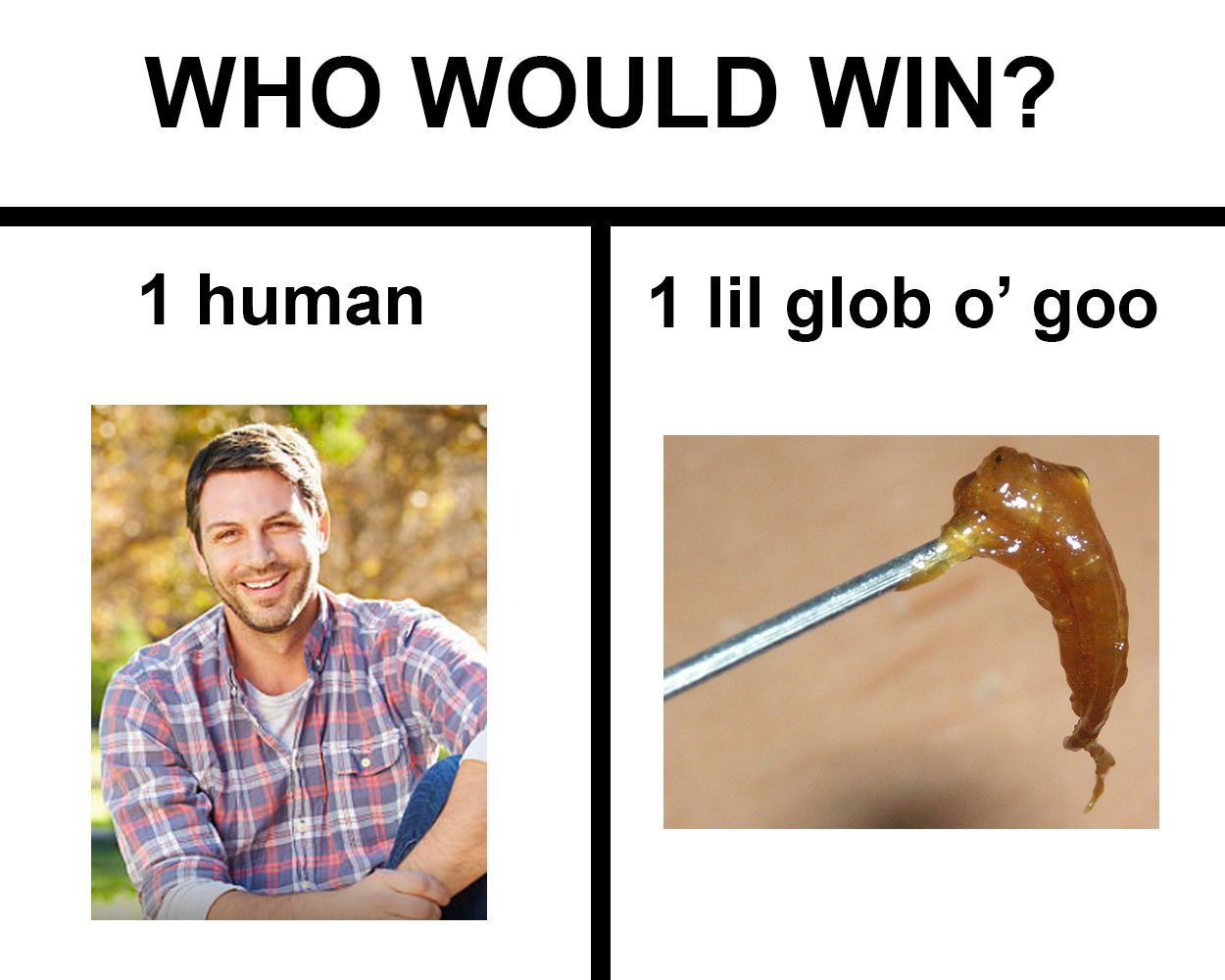 Who would win? | Scrolller