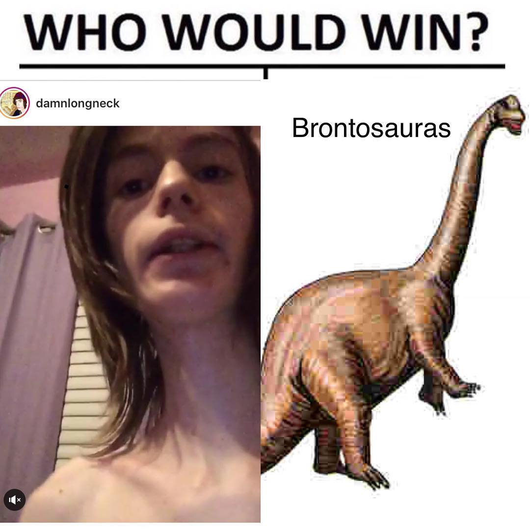 Who would win? | Scrolller