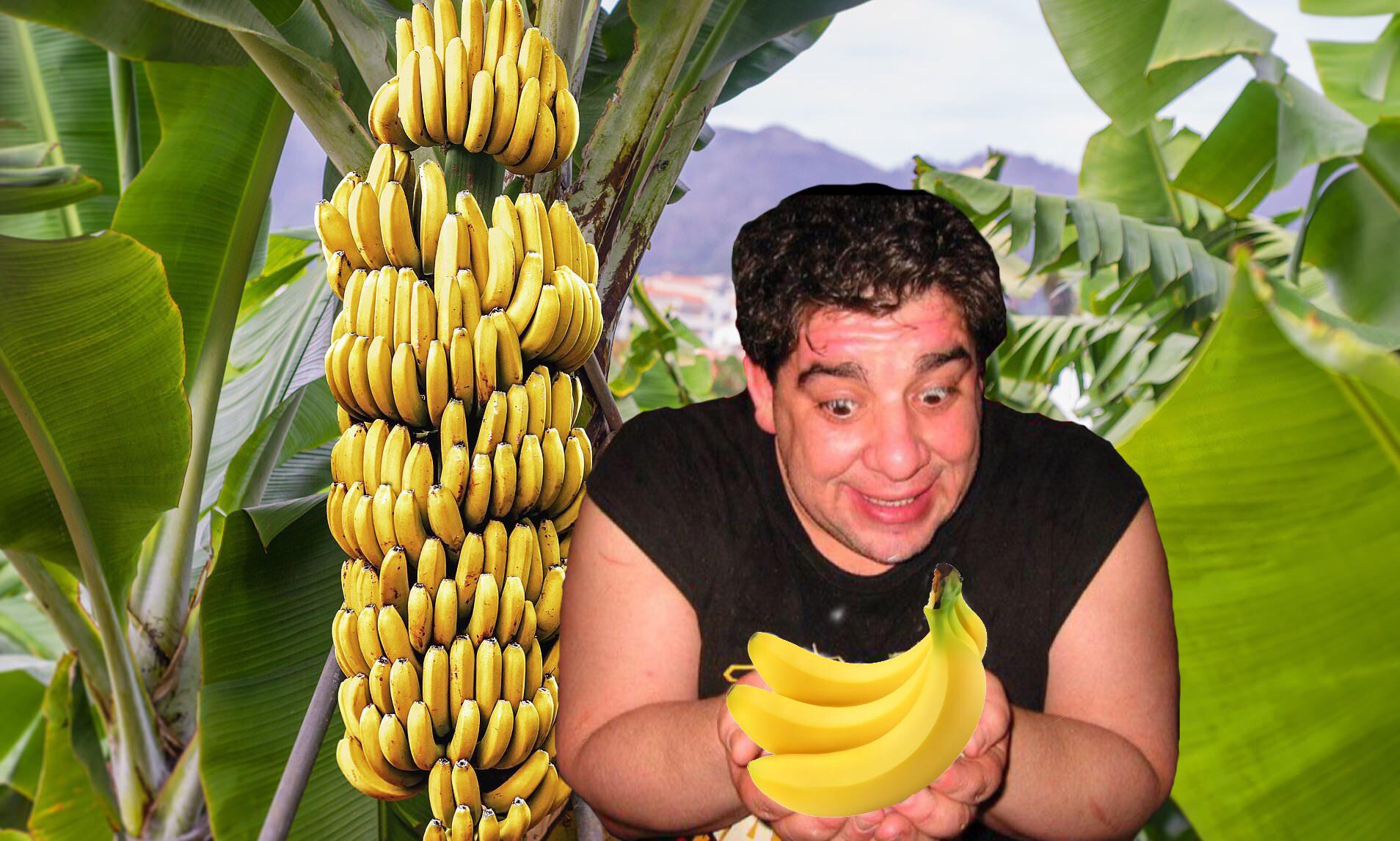 Who ya think you’re dealin’ with, Joey Bananas? | Scrolller