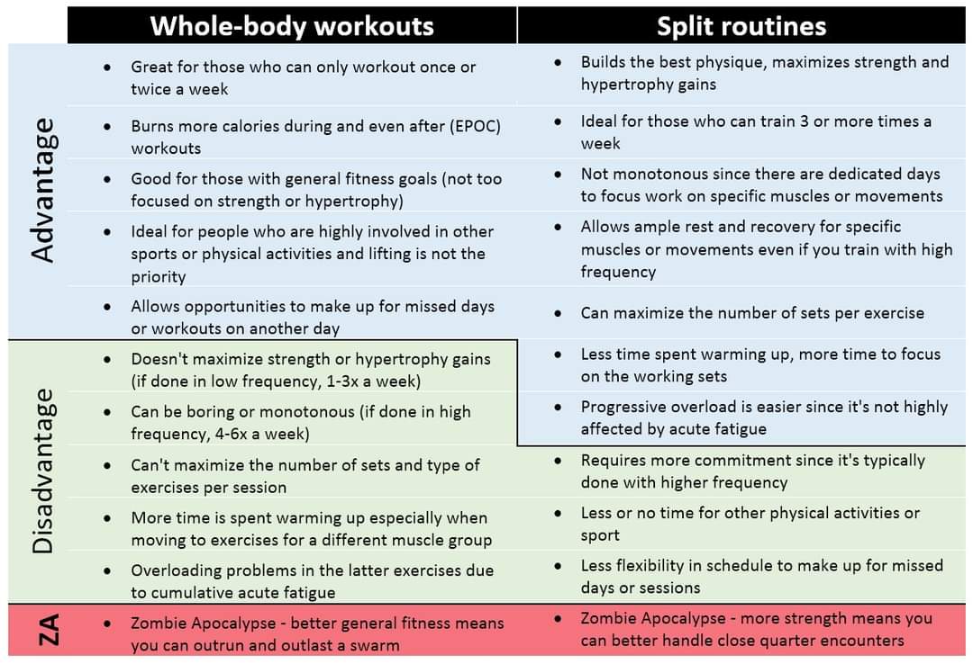 Whole body workouts vs. Split routines | Scrolller