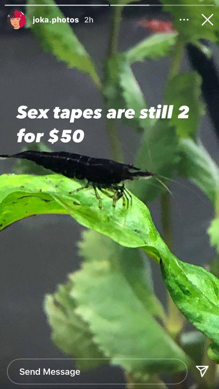 Whos got these | Scrolller