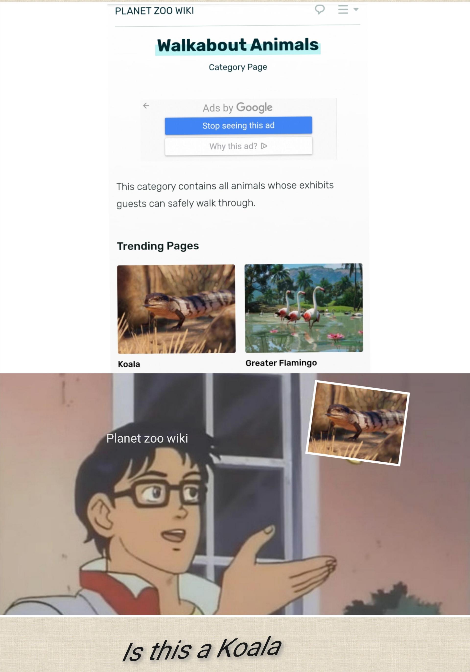 Who's in charge of the wiki | Scrolller