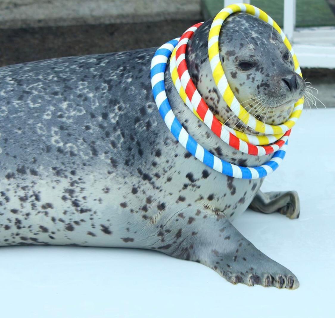 why does his face look so dank ahh | Scrolller