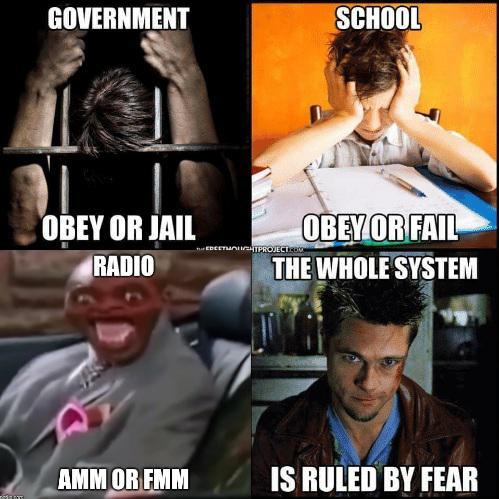 Why don't we just relax? | Scrolller