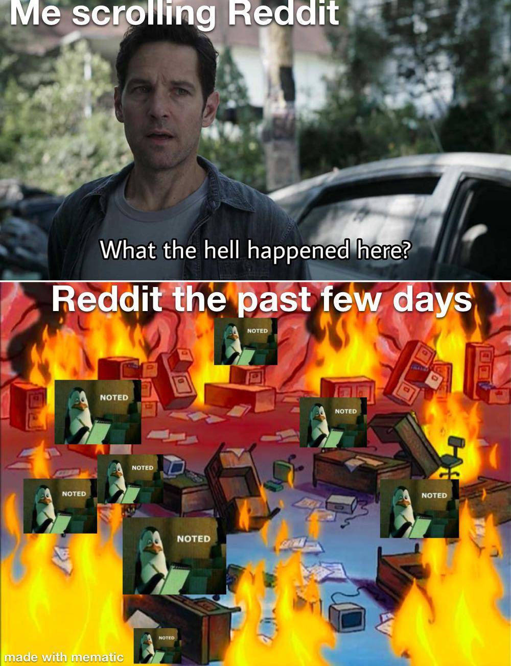 Why is it everywhere | Scrolller