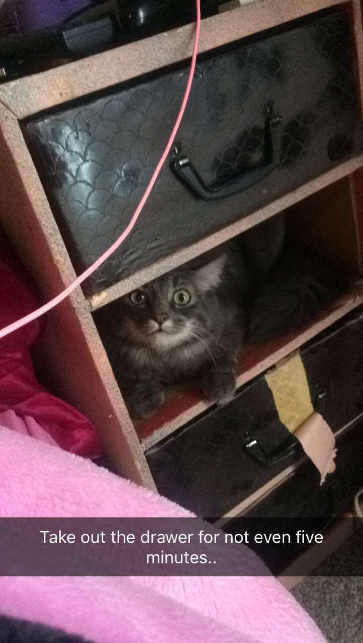 Why must you do this | Scrolller