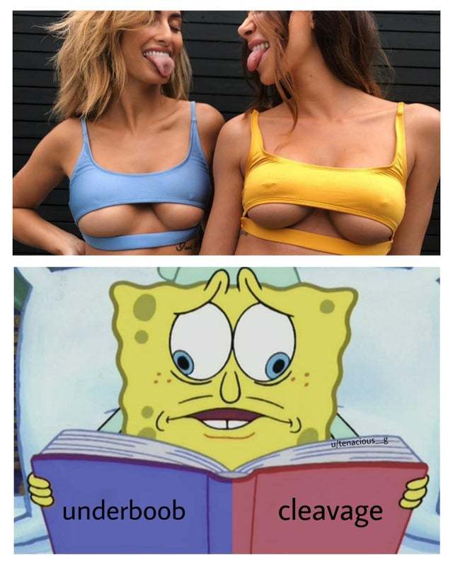 Why Not Both? | Scrolller