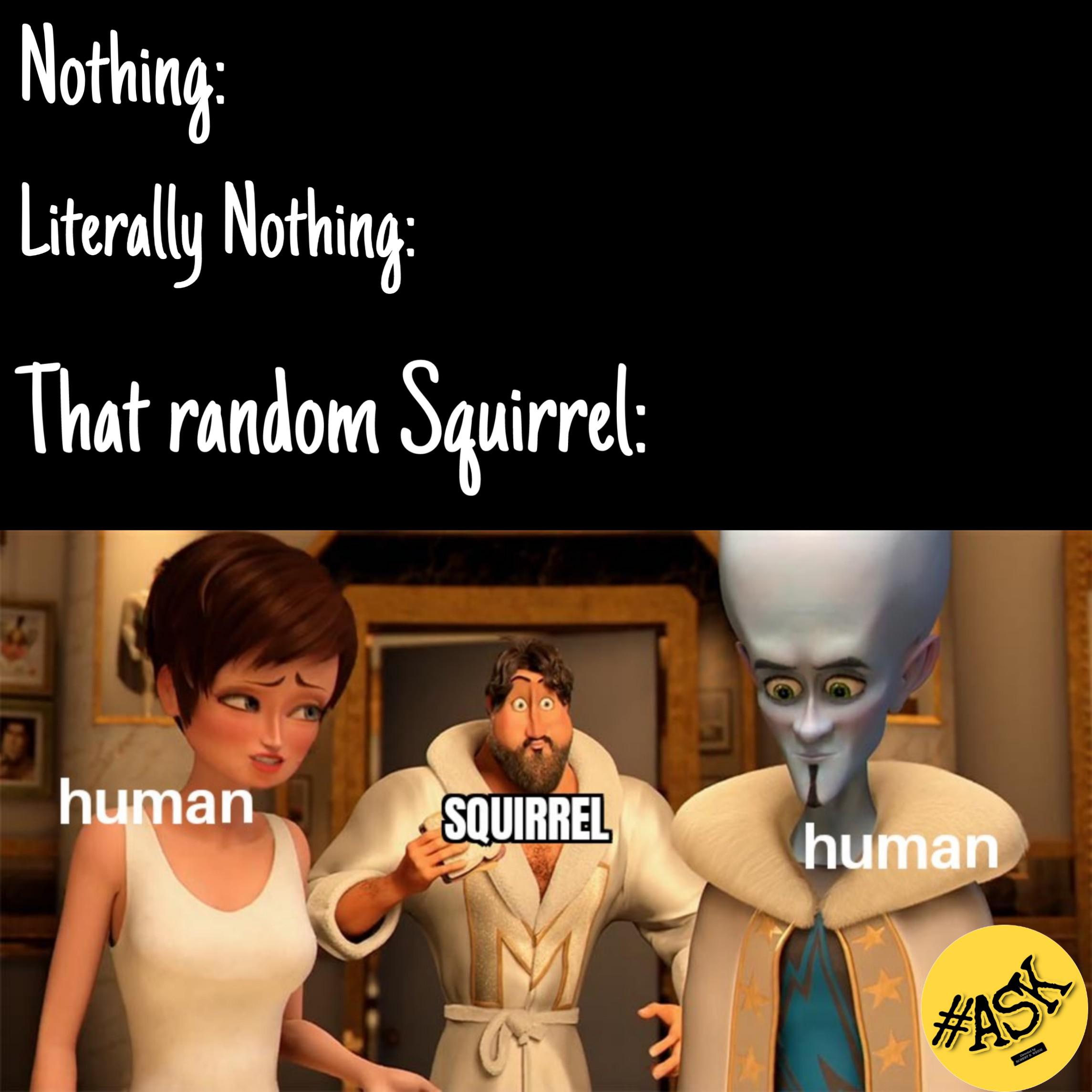 Why though?? | Scrolller