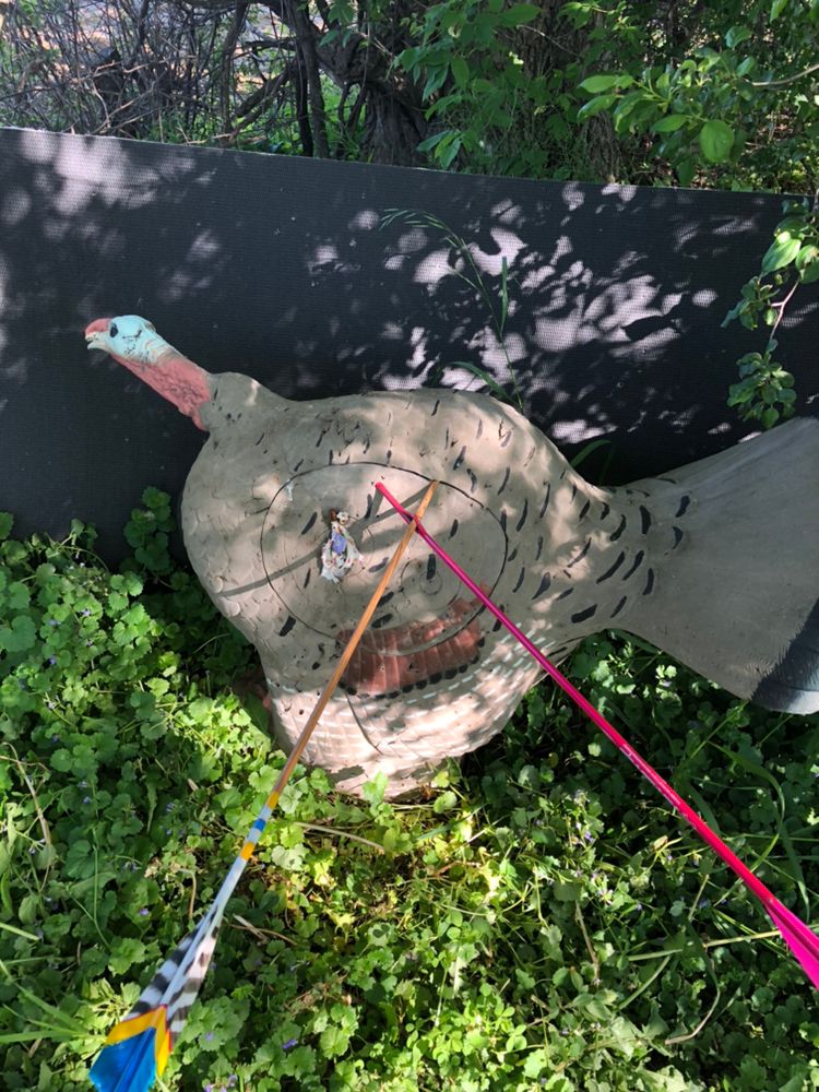 Why we don’t shoot from two directions. | Scrolller