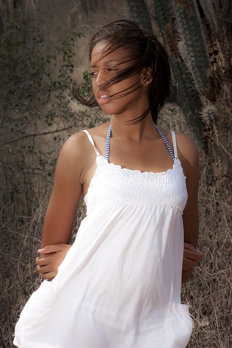 Wind swept | Scrolller