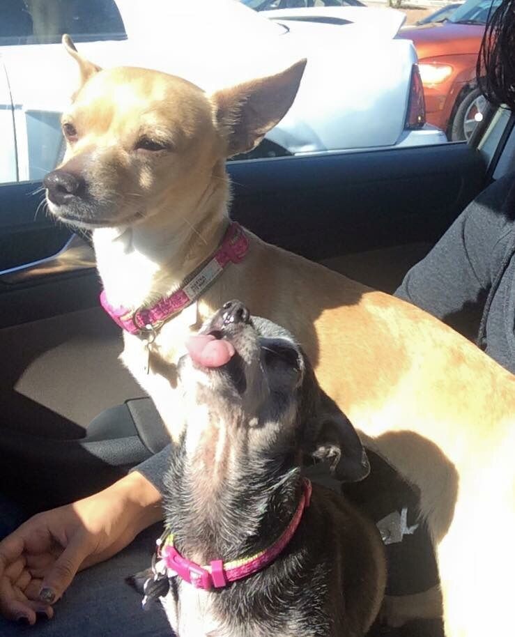 Winnie is slightly less photogenic than her younger sister. | Scrolller