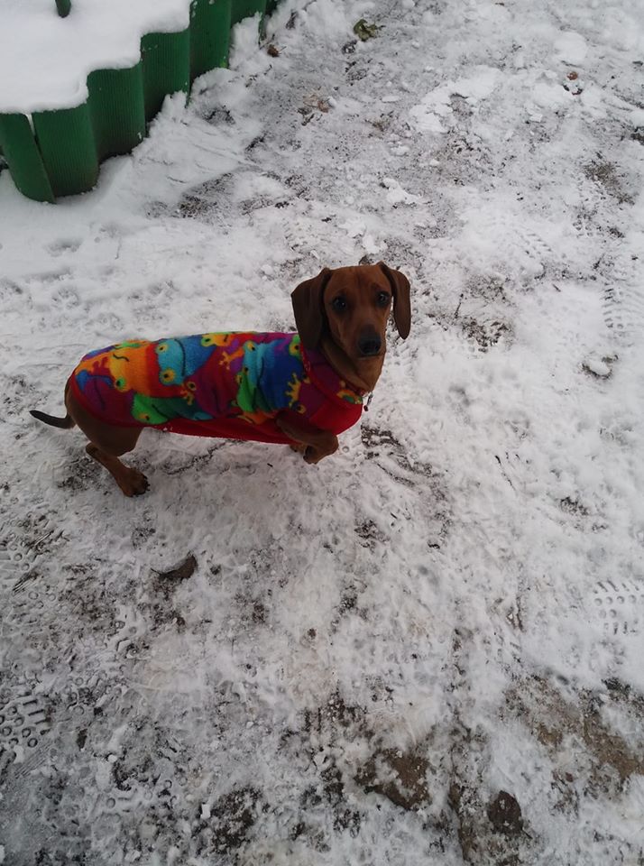 winter came ... cold | Scrolller