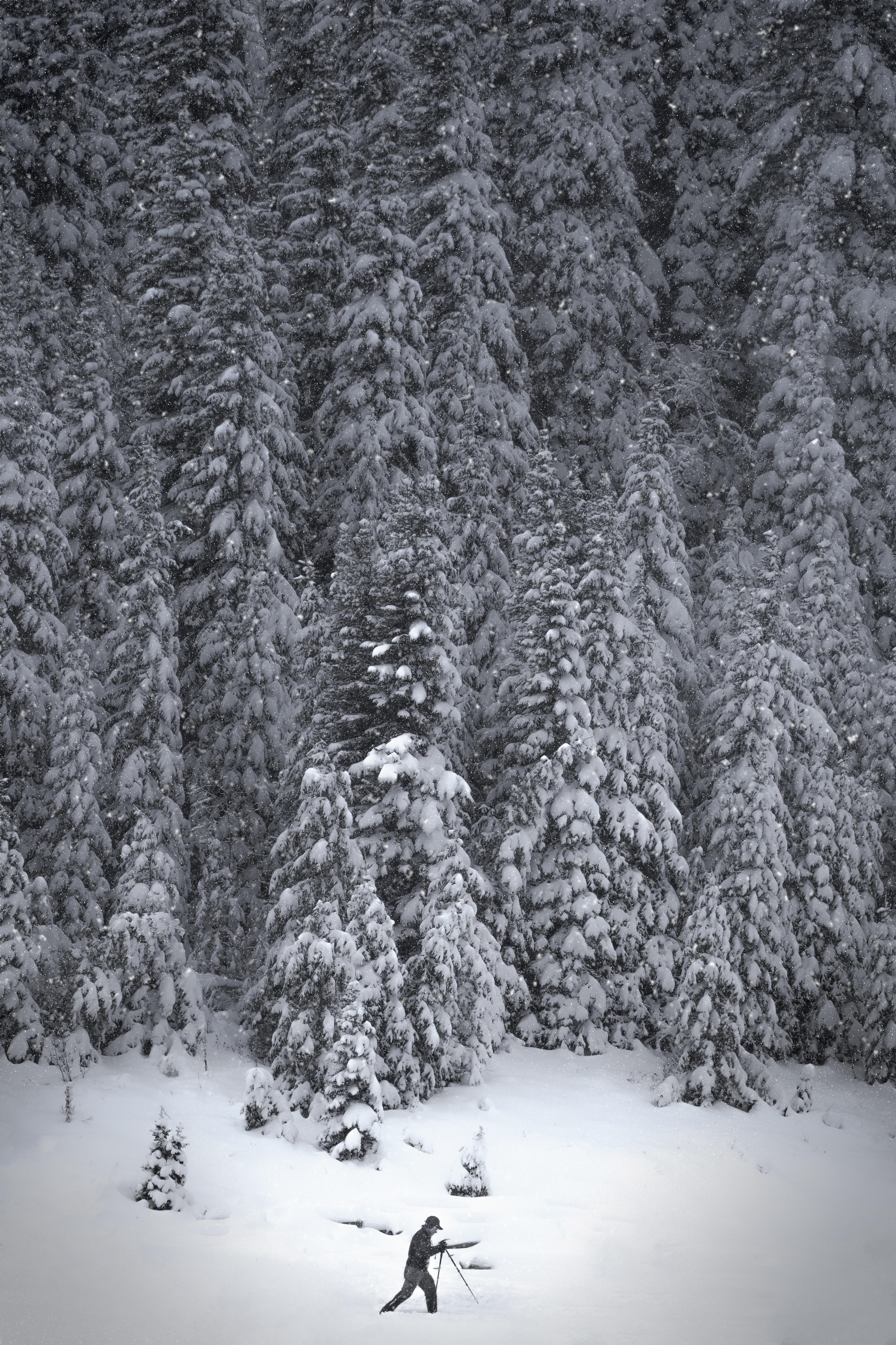 Winter Decided To Make An Appearance Last Night Big Cottonwood