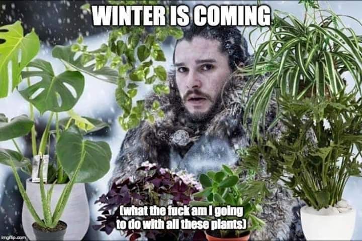 Winter is coming | Scrolller