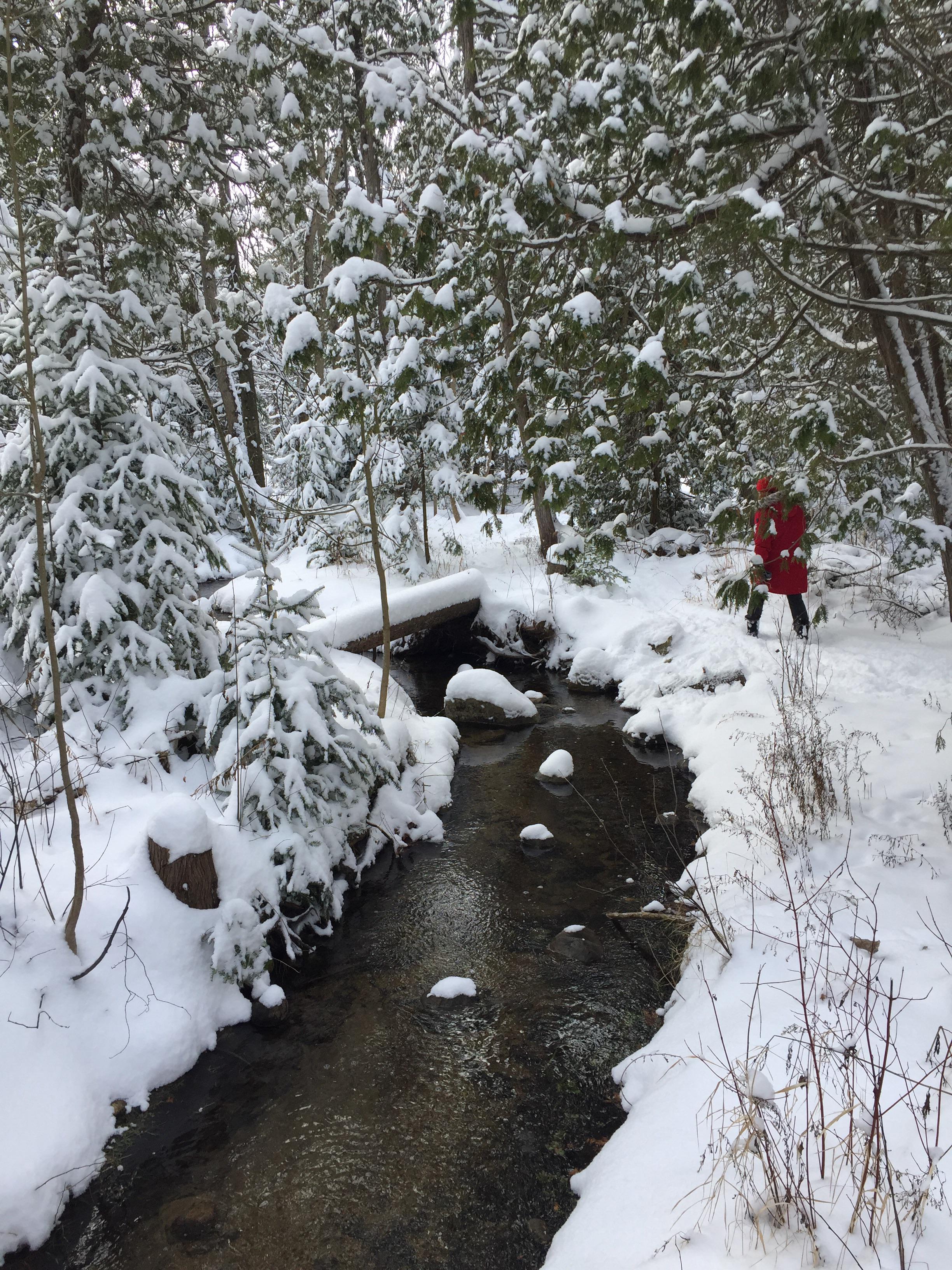 Winter walk | Scrolller