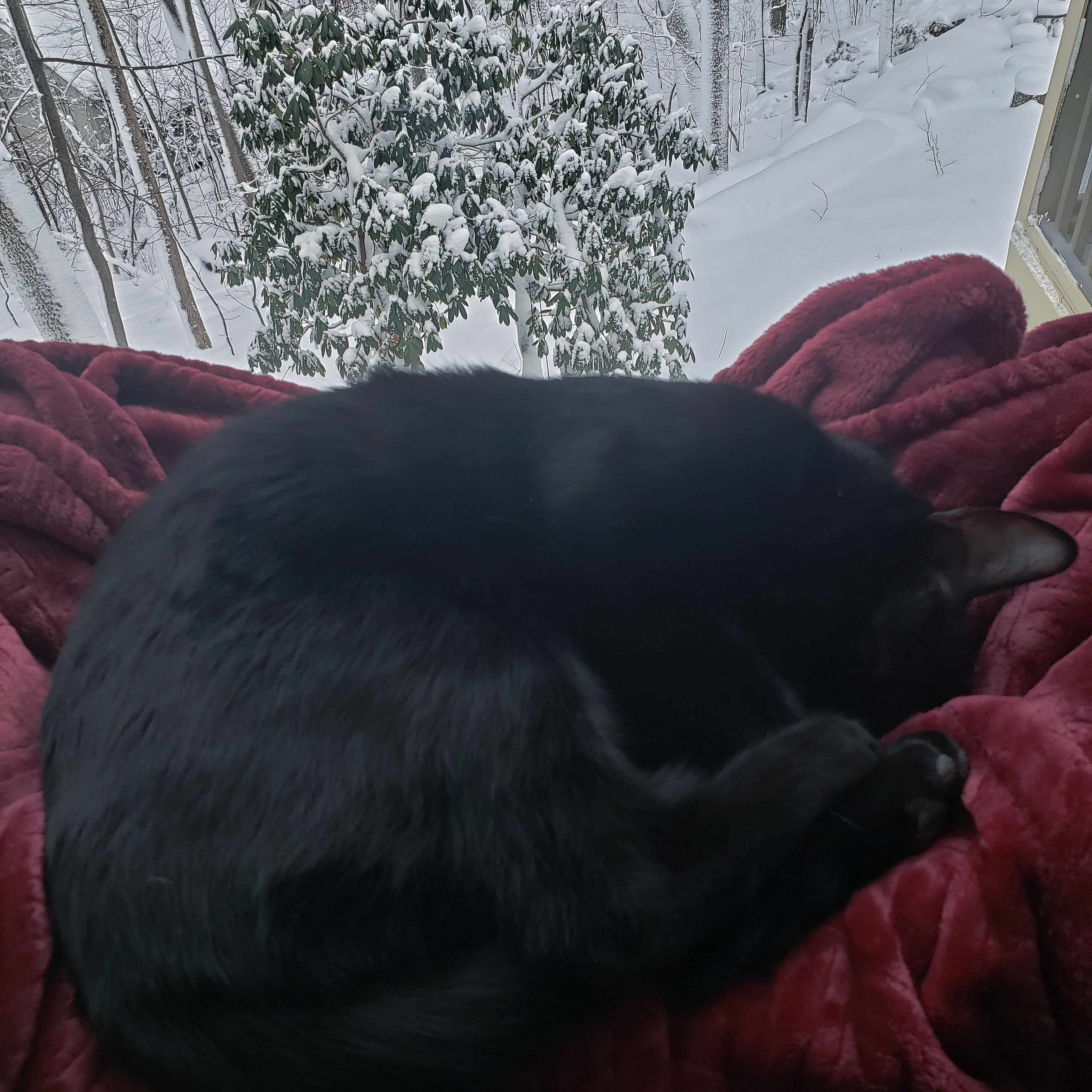 Winter wonderland #5 | Scrolller