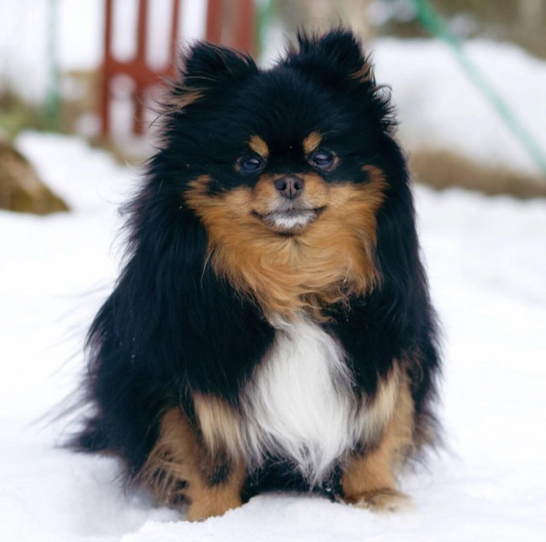 Wintermode | Scrolller