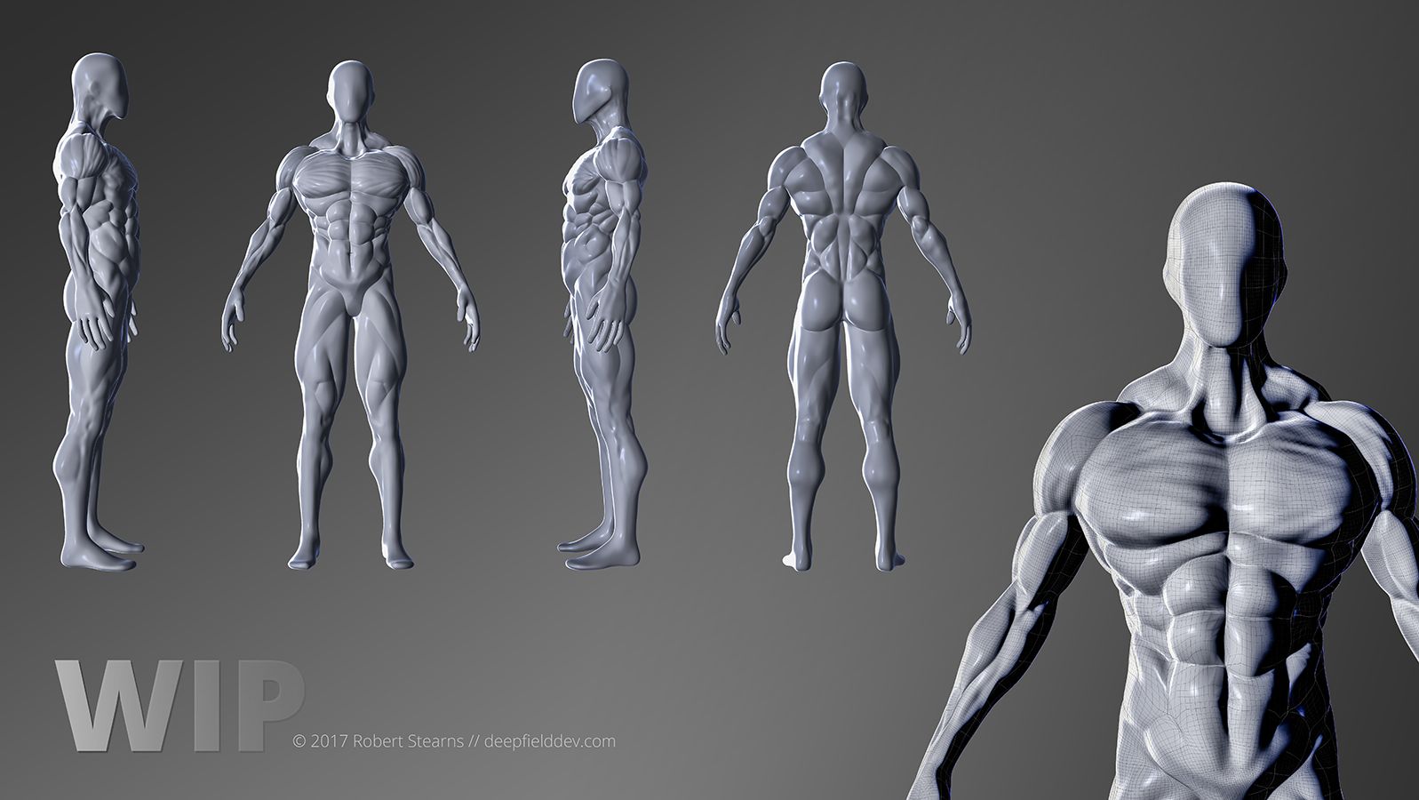 WIP Male Physique | Scrolller