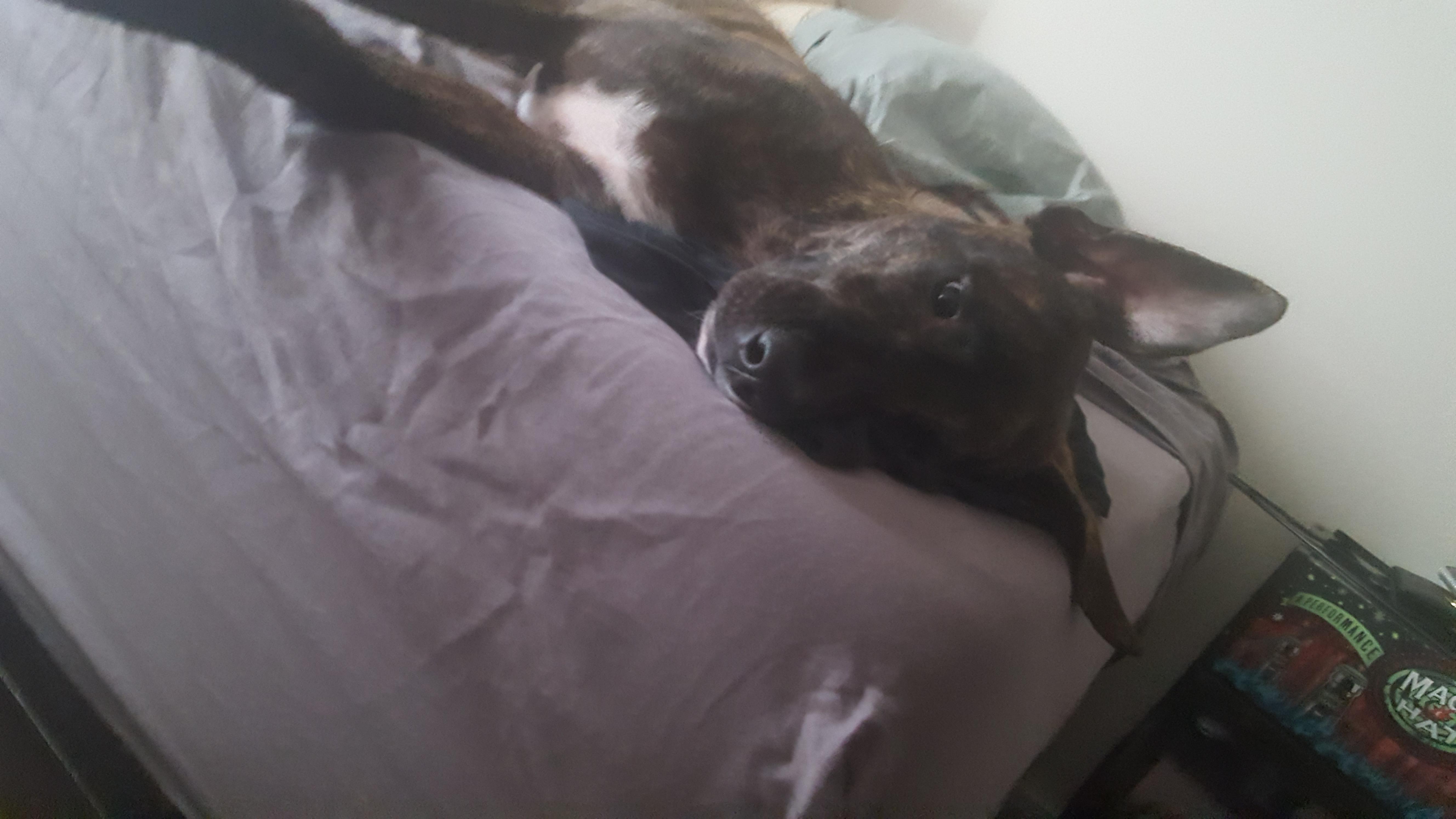 Woke her up from a nap | Scrolller