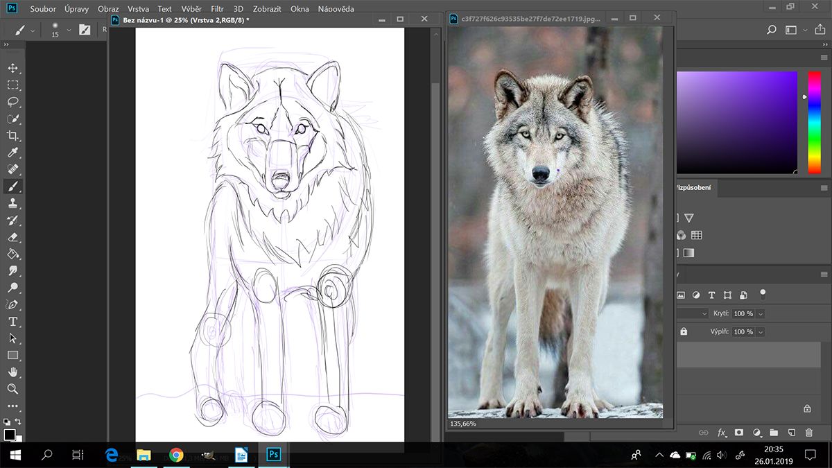 Wolf in progress - digital work WIP | Scrolller