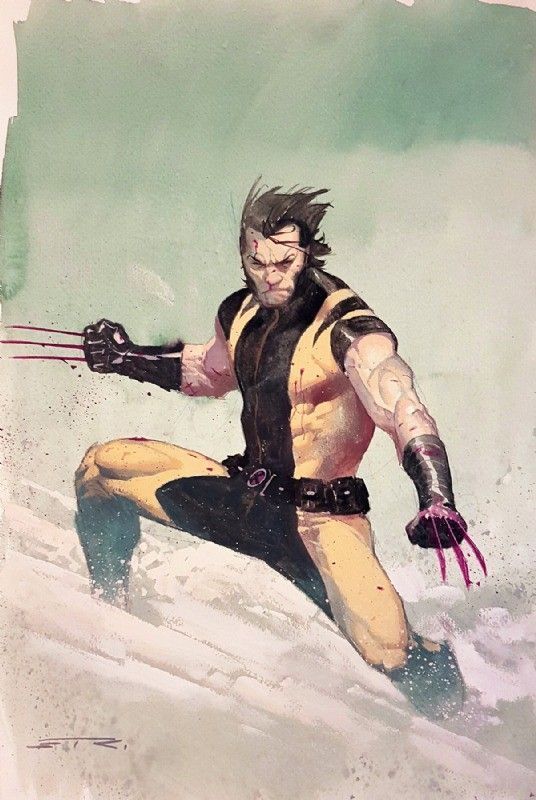Wolverine by Esad Ribic | Scrolller