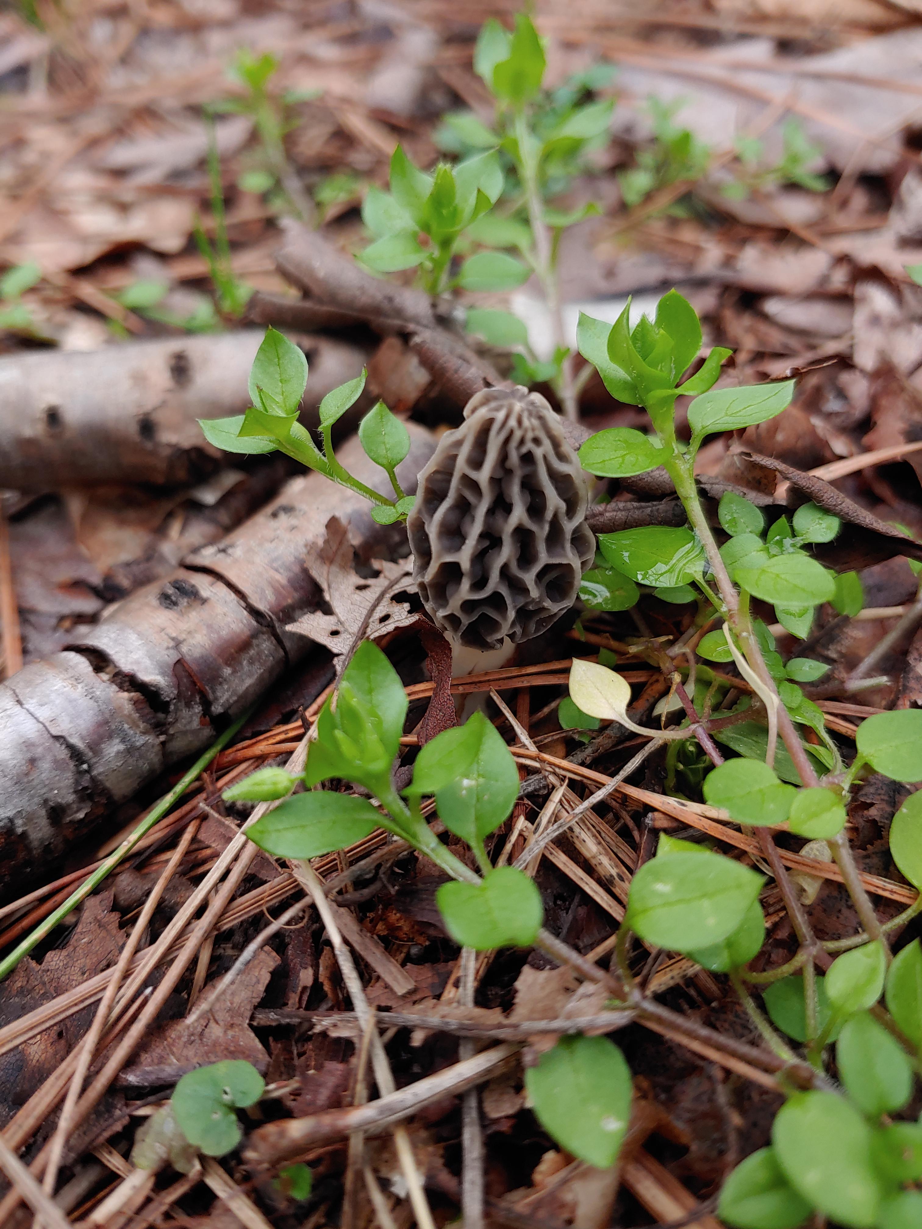 Woo hoo! First find of 2020 | Scrolller