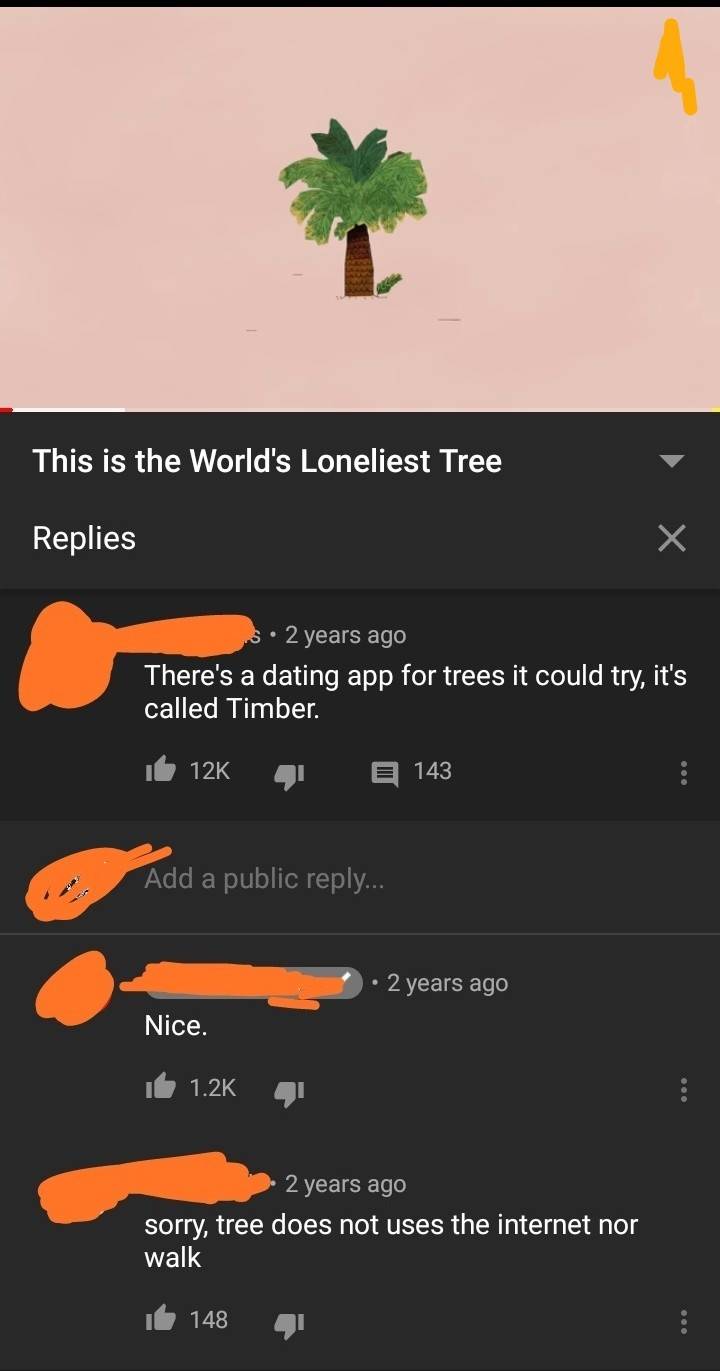 Wood Wide Web | Scrolller