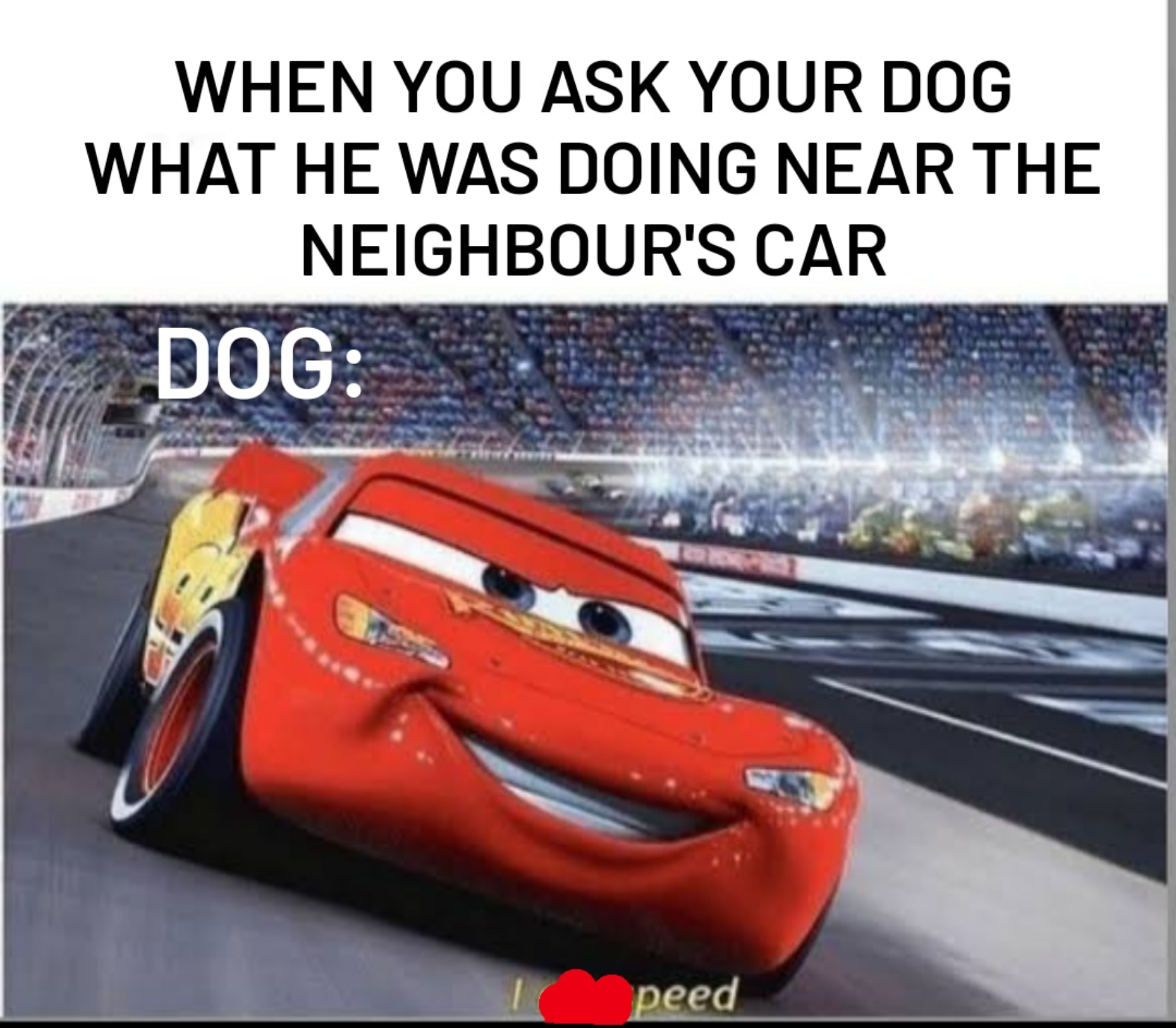 Every freaking time! | Scrolller