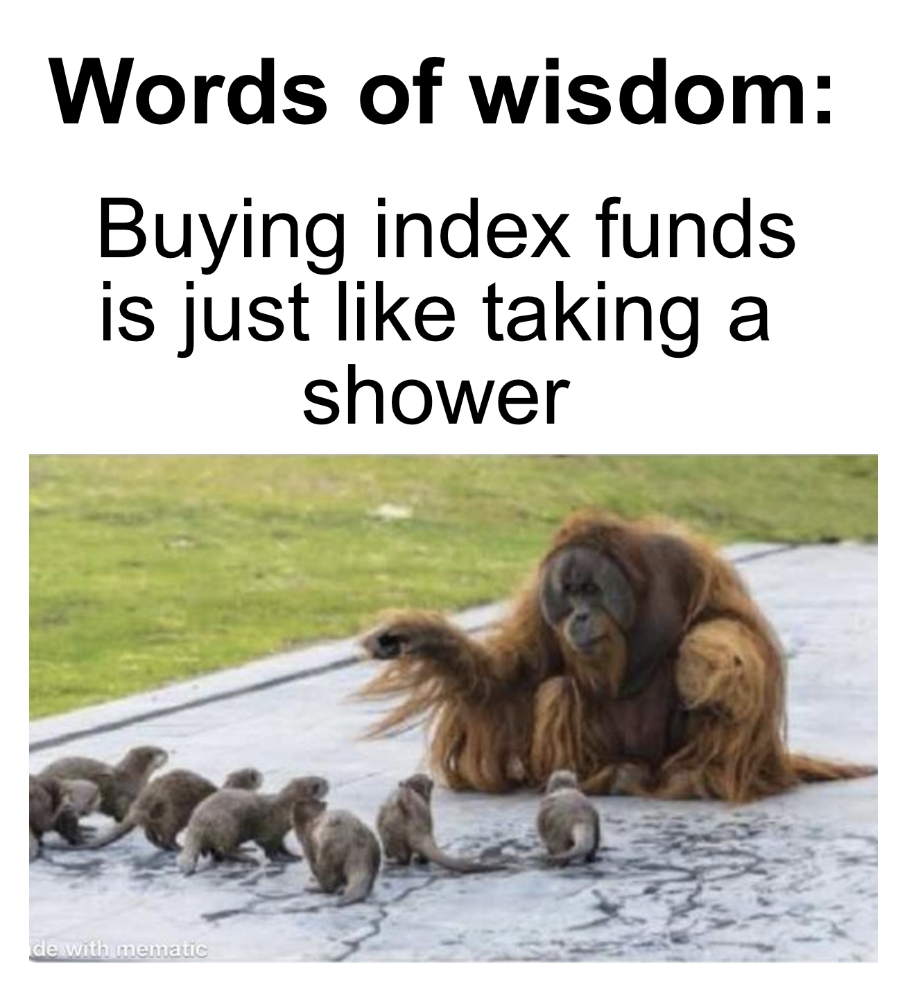 Words of wisdom | Scrolller