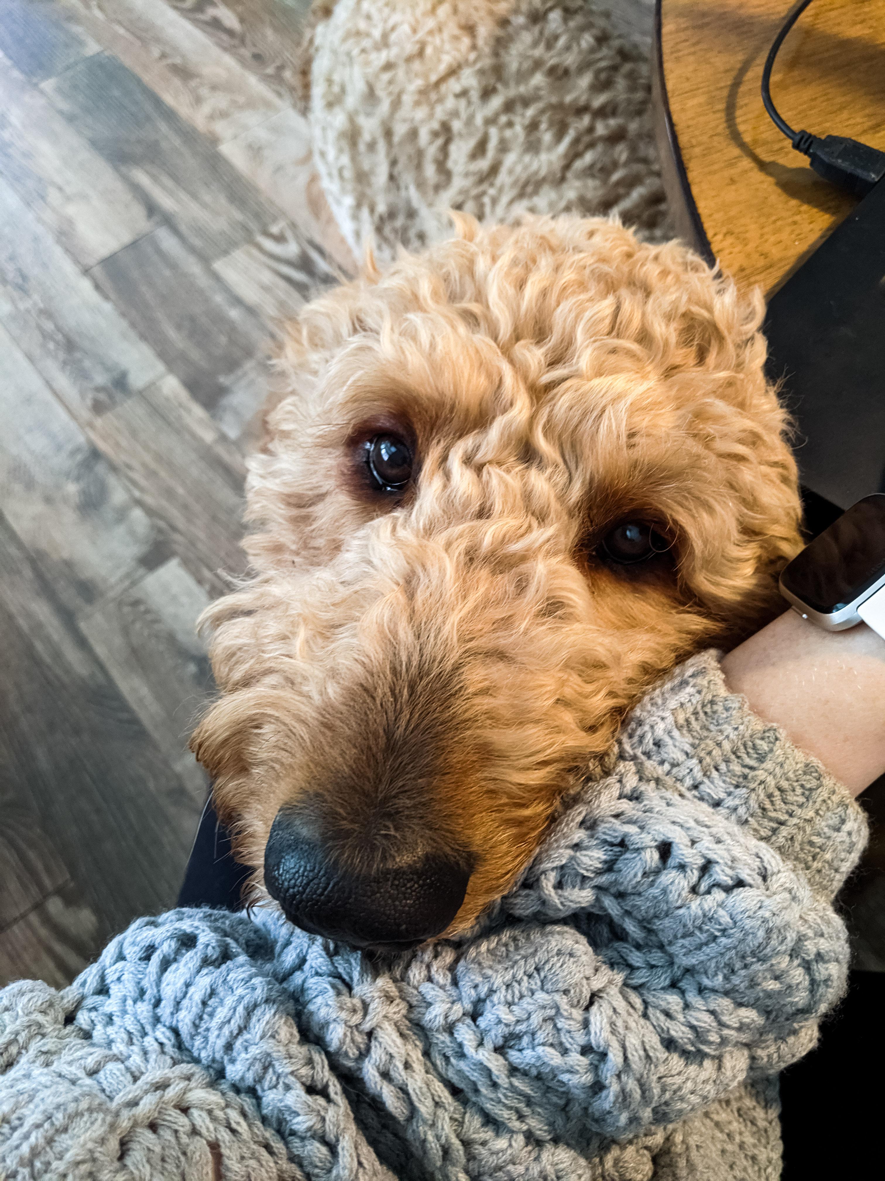 Work distraction | Scrolller