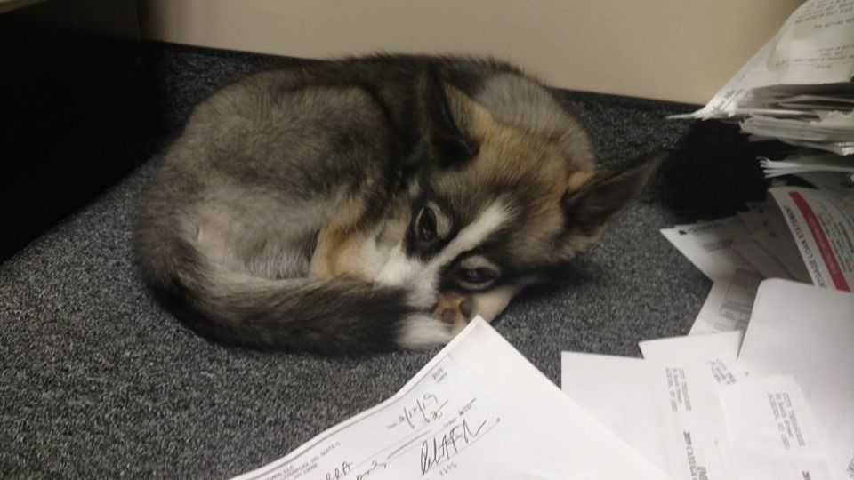 Work is boring. | Scrolller