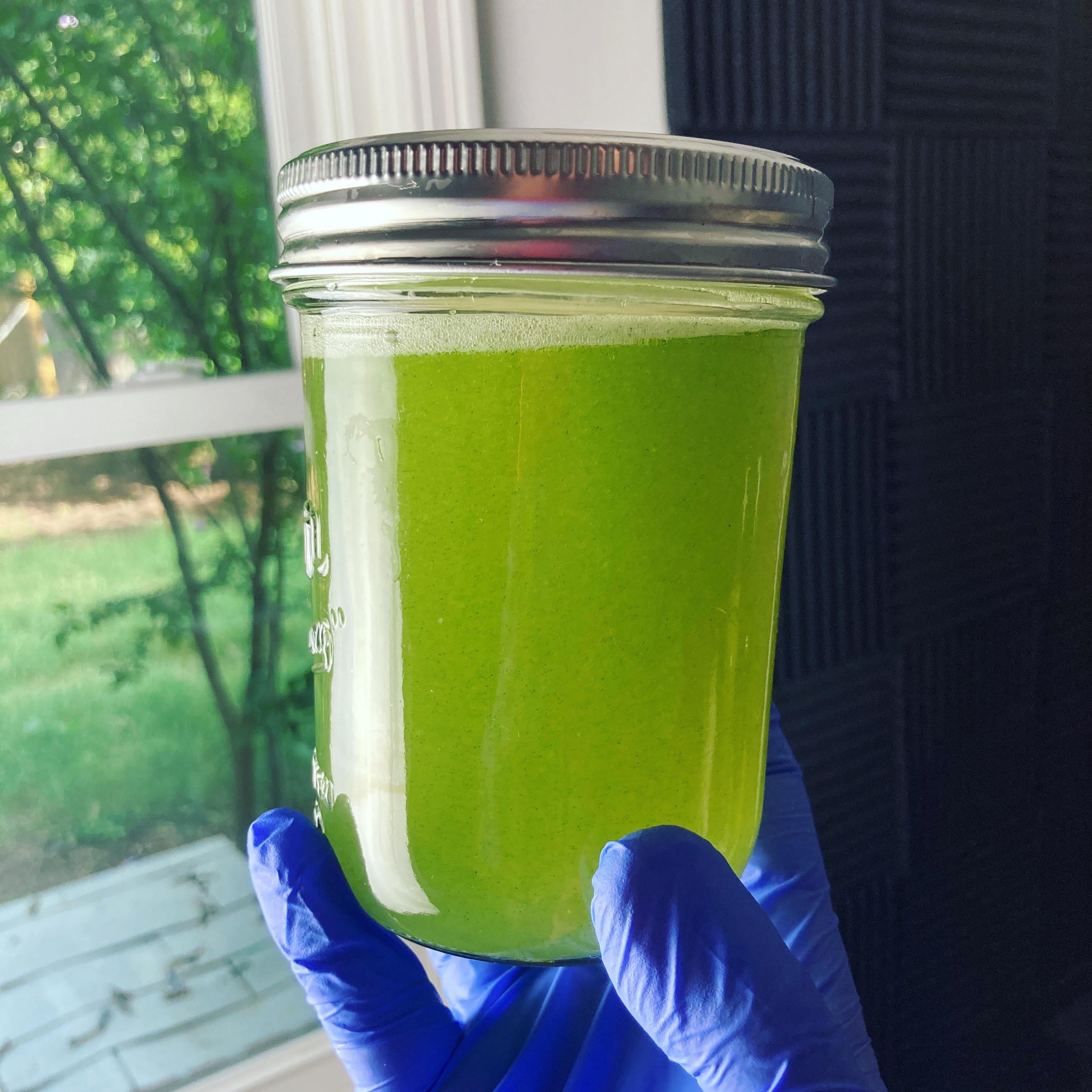 Working on a naturally flavored and colored Ecto Cooler recipe for Halloween. Wish me luck, don ...