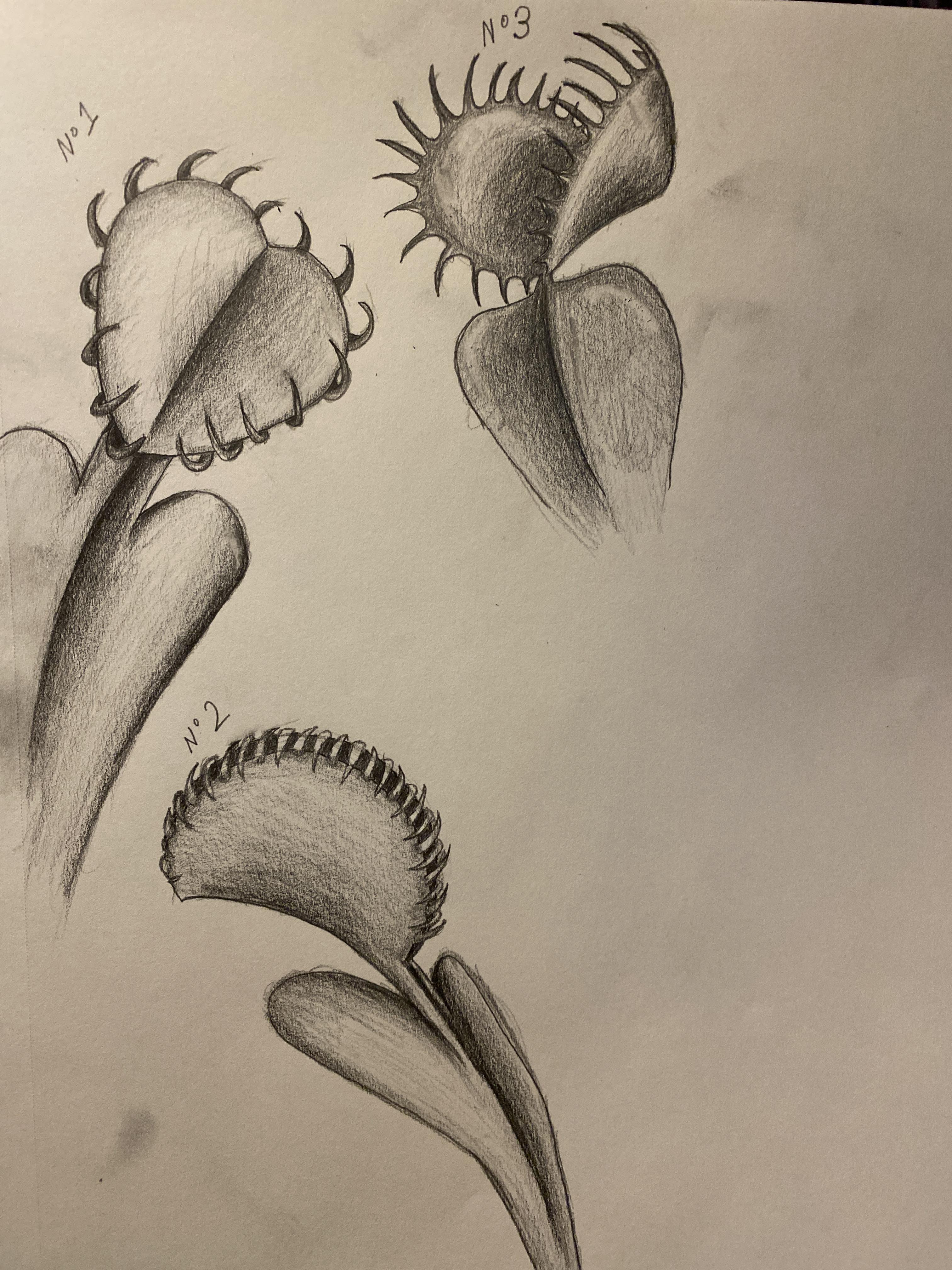 Working on my shading and drew some traps! what do you guys think? | Scrolller