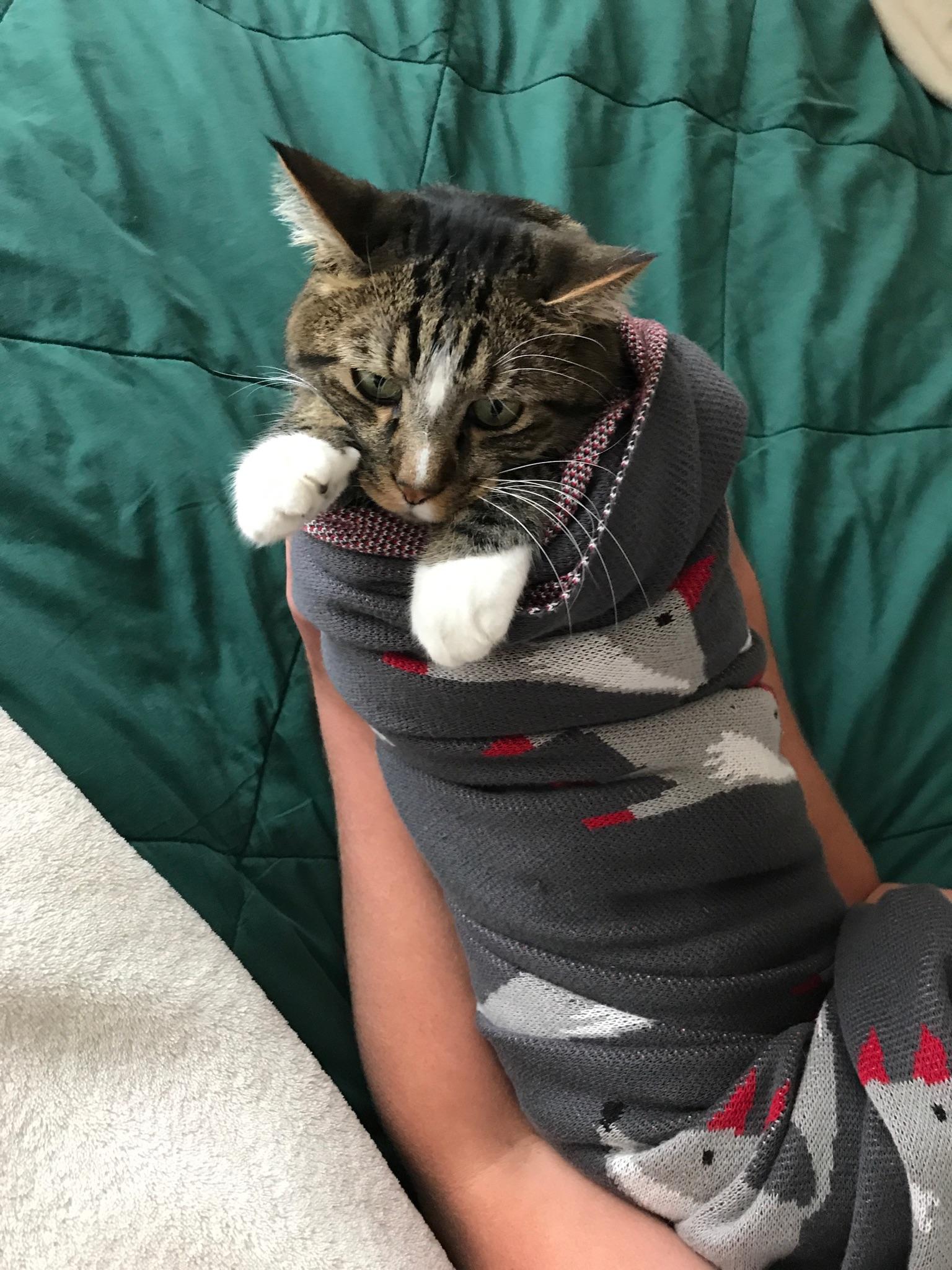 Wrapped up good! | Scrolller