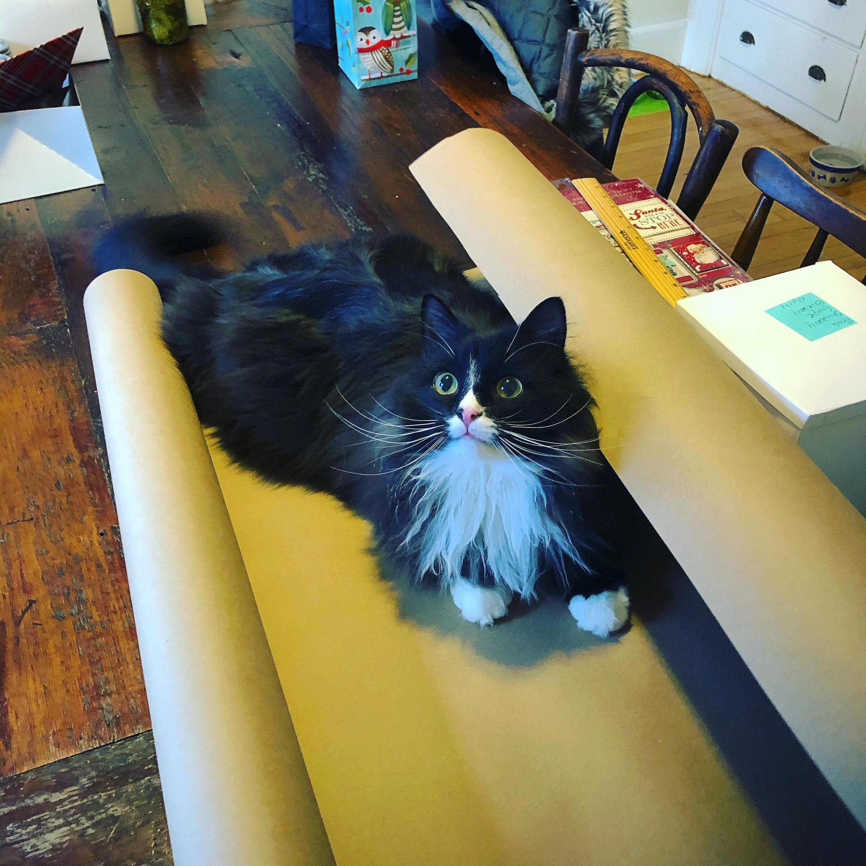 Wrapping assistant. | Scrolller