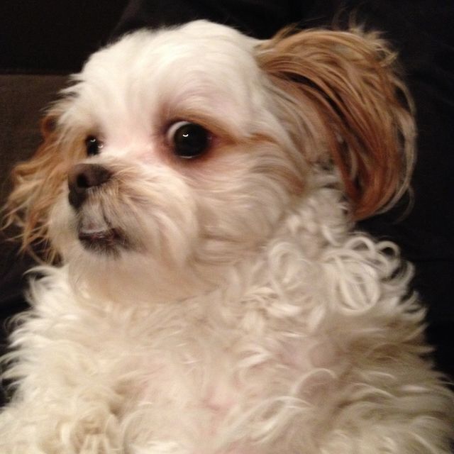 "WTF....." | Scrolller