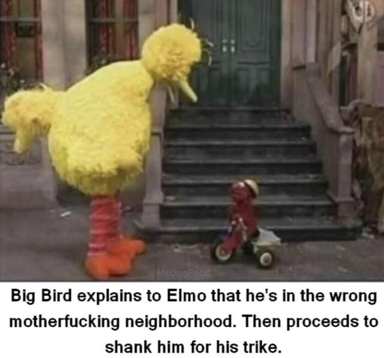 Wtf big bird | Scrolller