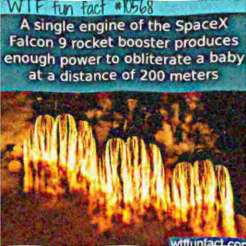 WTF Fun fact | Scrolller