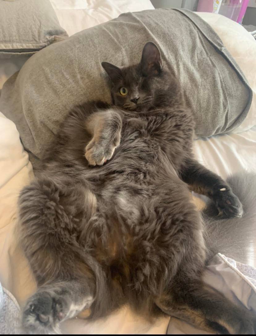 “Wut?” | Scrolller