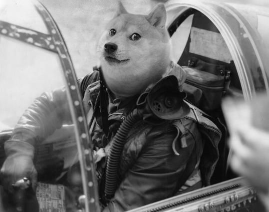WW2 dogefighter | Scrolller