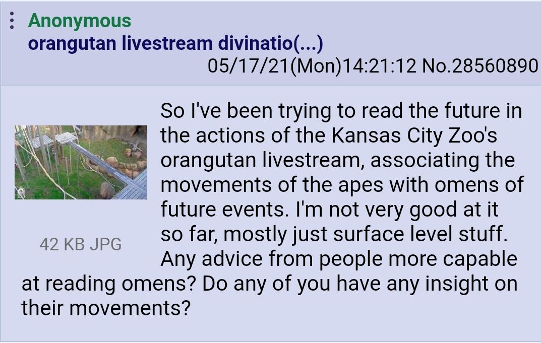 /x Anon is cracking the code | Scrolller