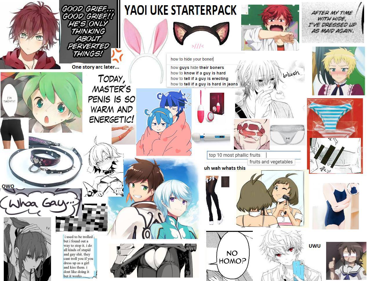 Yaoi Uke Starterpack | Scrolller