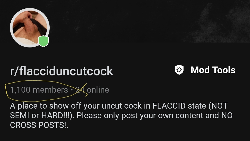 YAY!!! 1,100 Members!!! | Scrolller