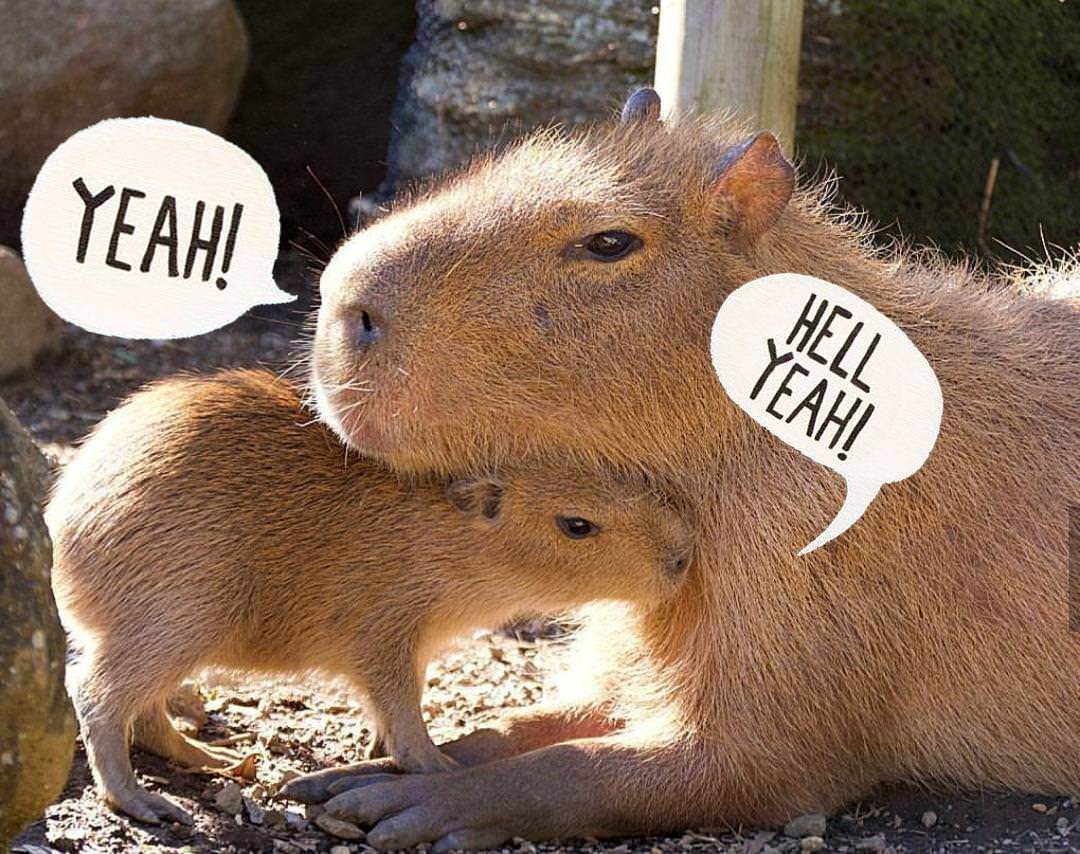 Yeah! Hell Yeah! | Scrolller