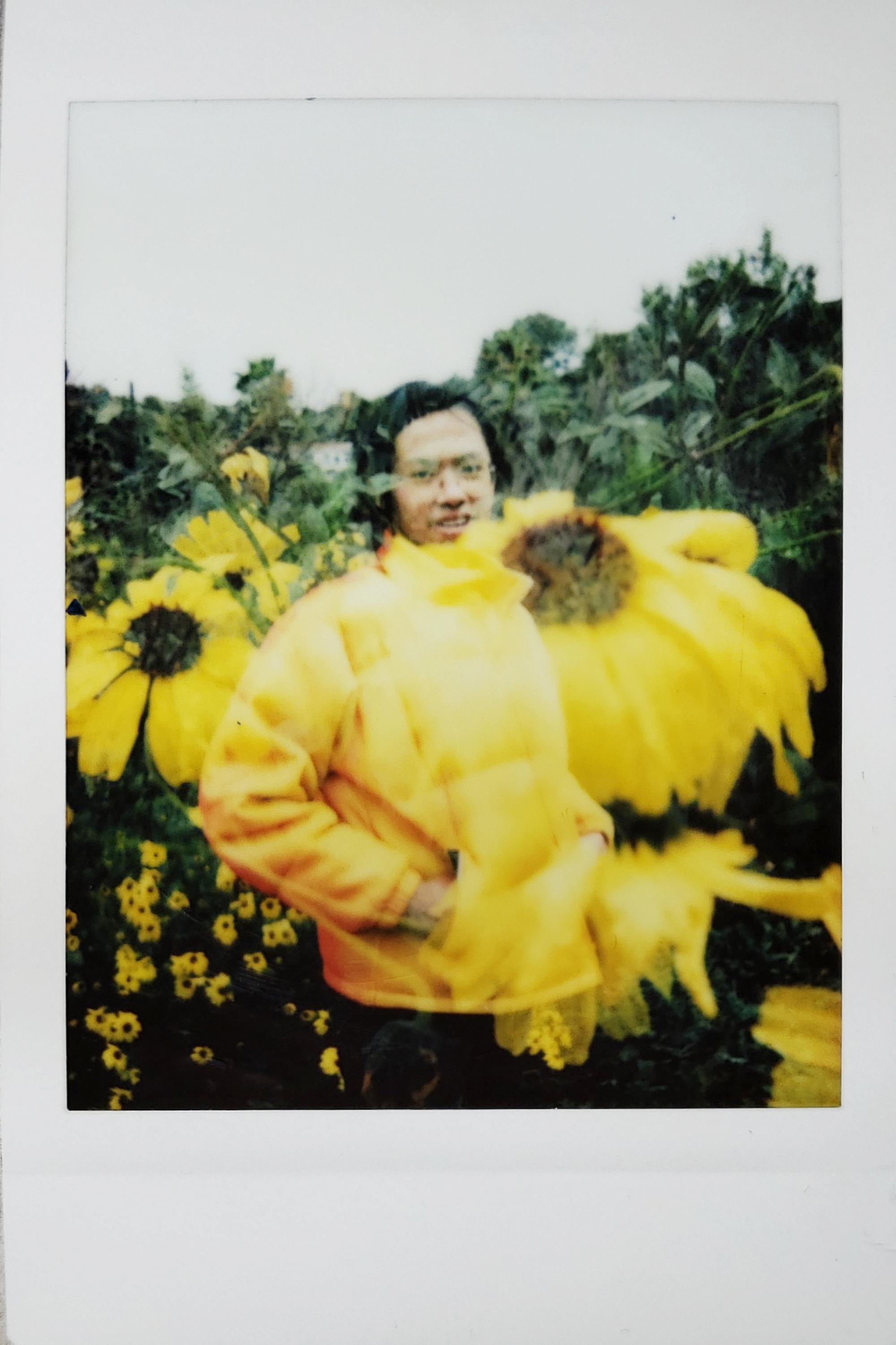 🏵 Yellow Flowers + Yellow Puffer 🌼 | Scrolller