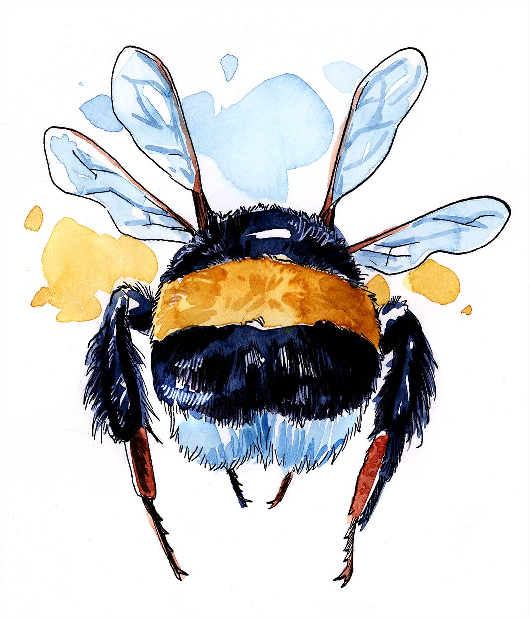 yes brothers | Scrolller