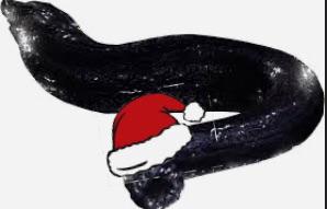 Yes even leech gets a hat | Scrolller