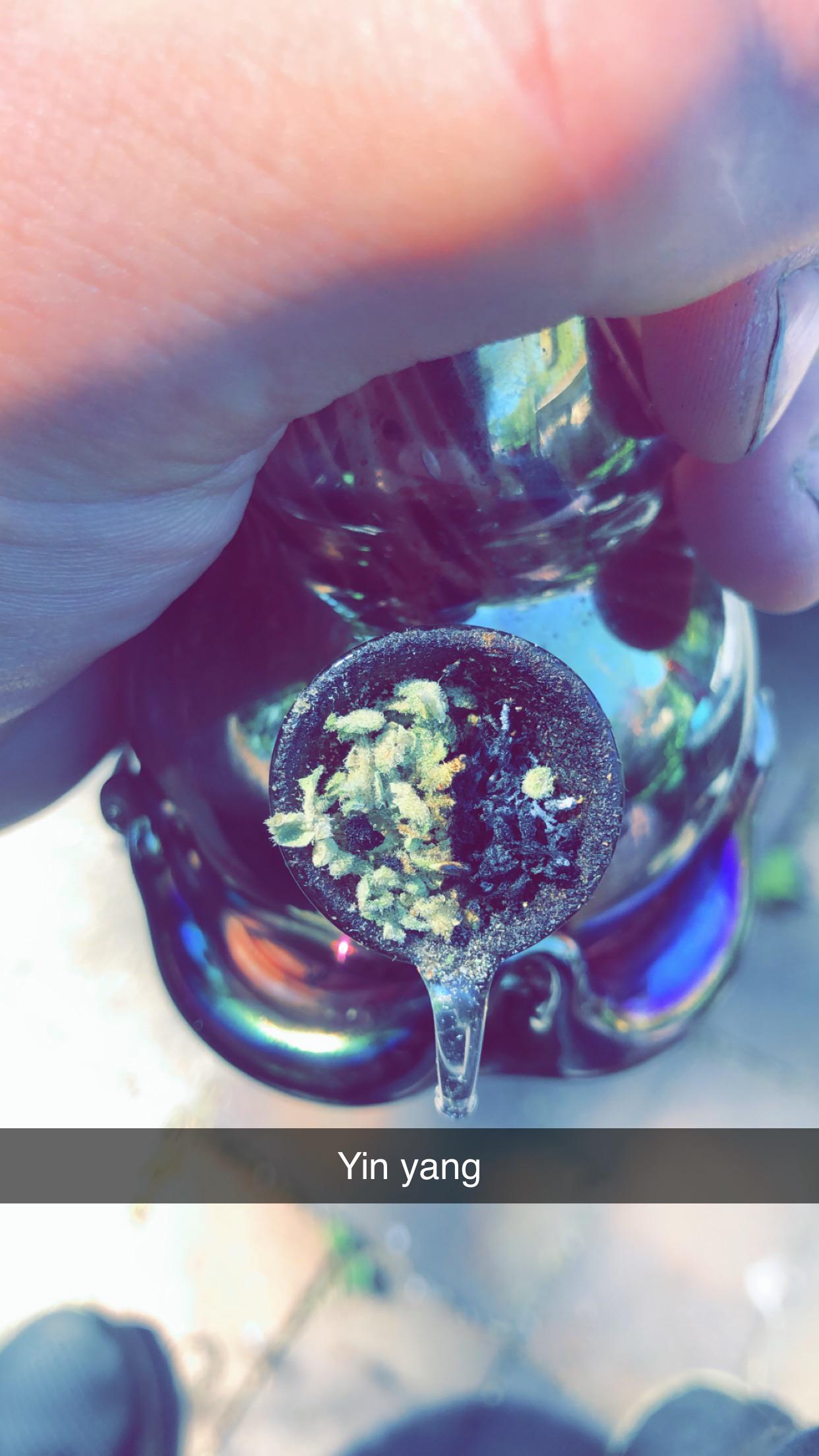 Yin Yang | Scrolller