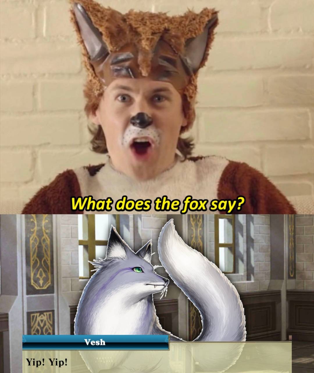 Yip! Yip | Scrolller